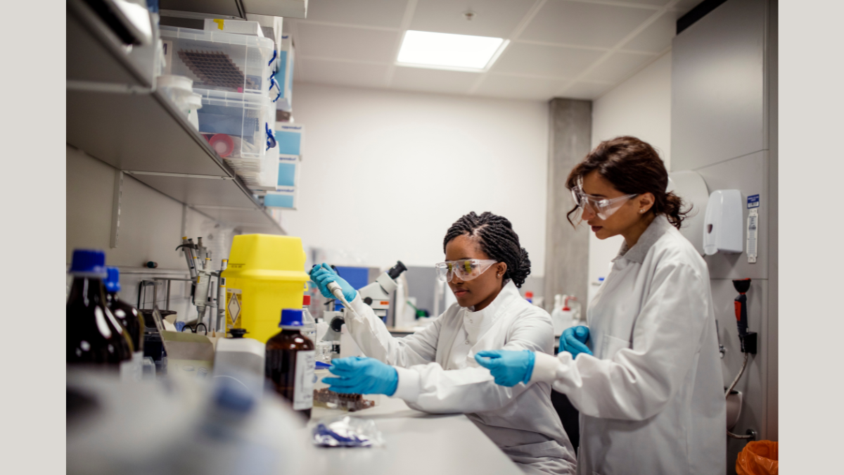 Personalised chronic kidney disease management on the horizon, as new ...