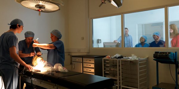 School of Health Sciences | University of Surrey