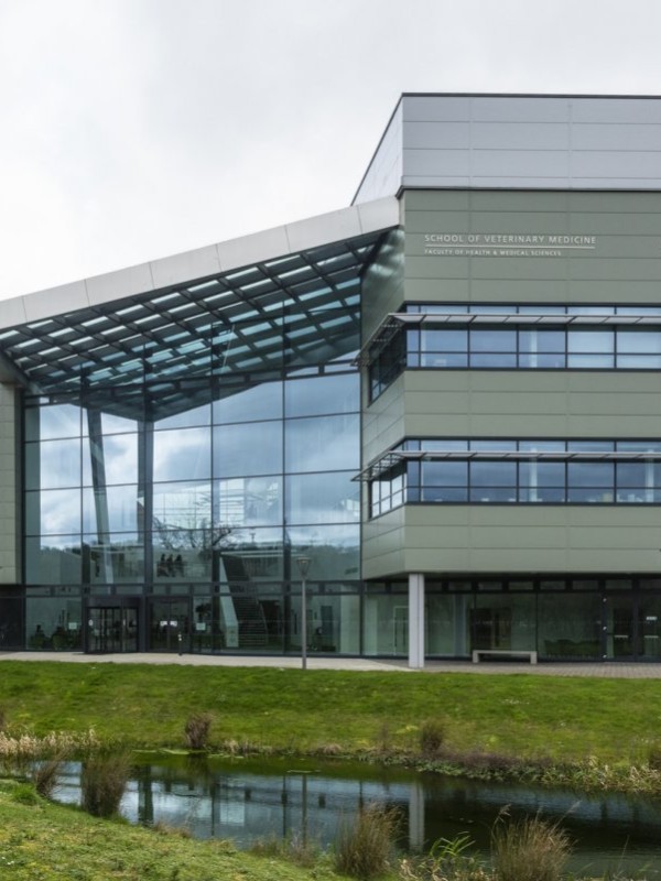 Veterinary General Practice PGCert | University of Surrey