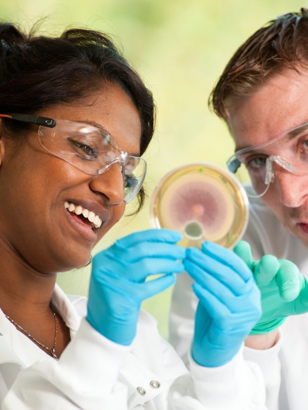 Veterinary Medicine and Science BVMSci (Hons) degree course 2025 entry ...