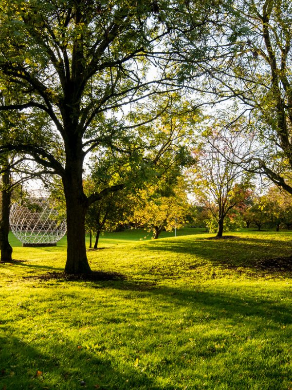 Sustainable Development MSc masters course | University of Surrey