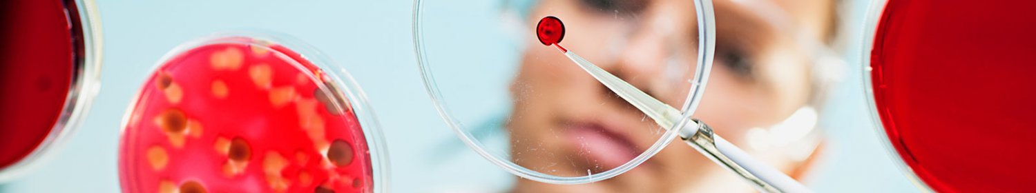 Microbiology BSc (Hons) degree course 2021 entry | University of Surrey