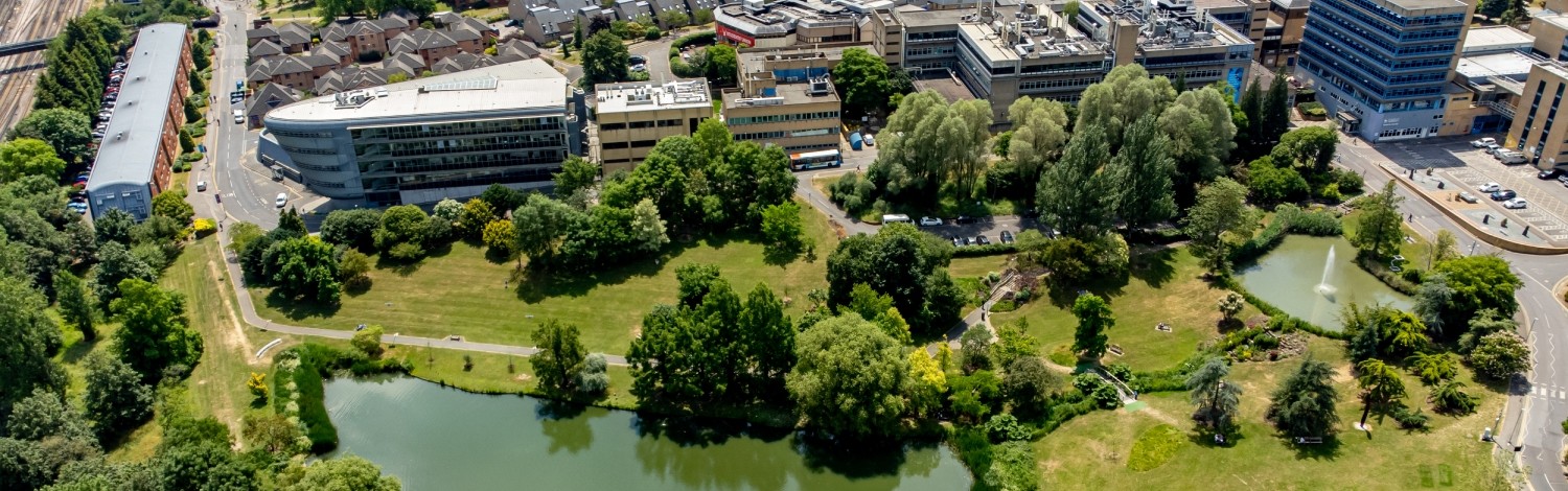 Postgraduate study | University of Surrey