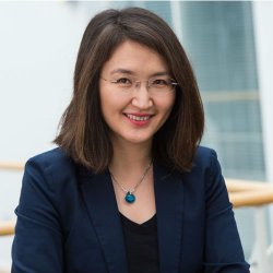 Prof Ying Zhou | University of Surrey