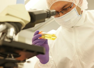 Prof Rex Thorpe | University of Surrey