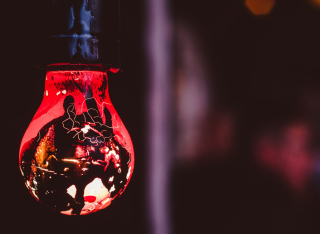 Prof Bonnie Buchanan | University of Surrey