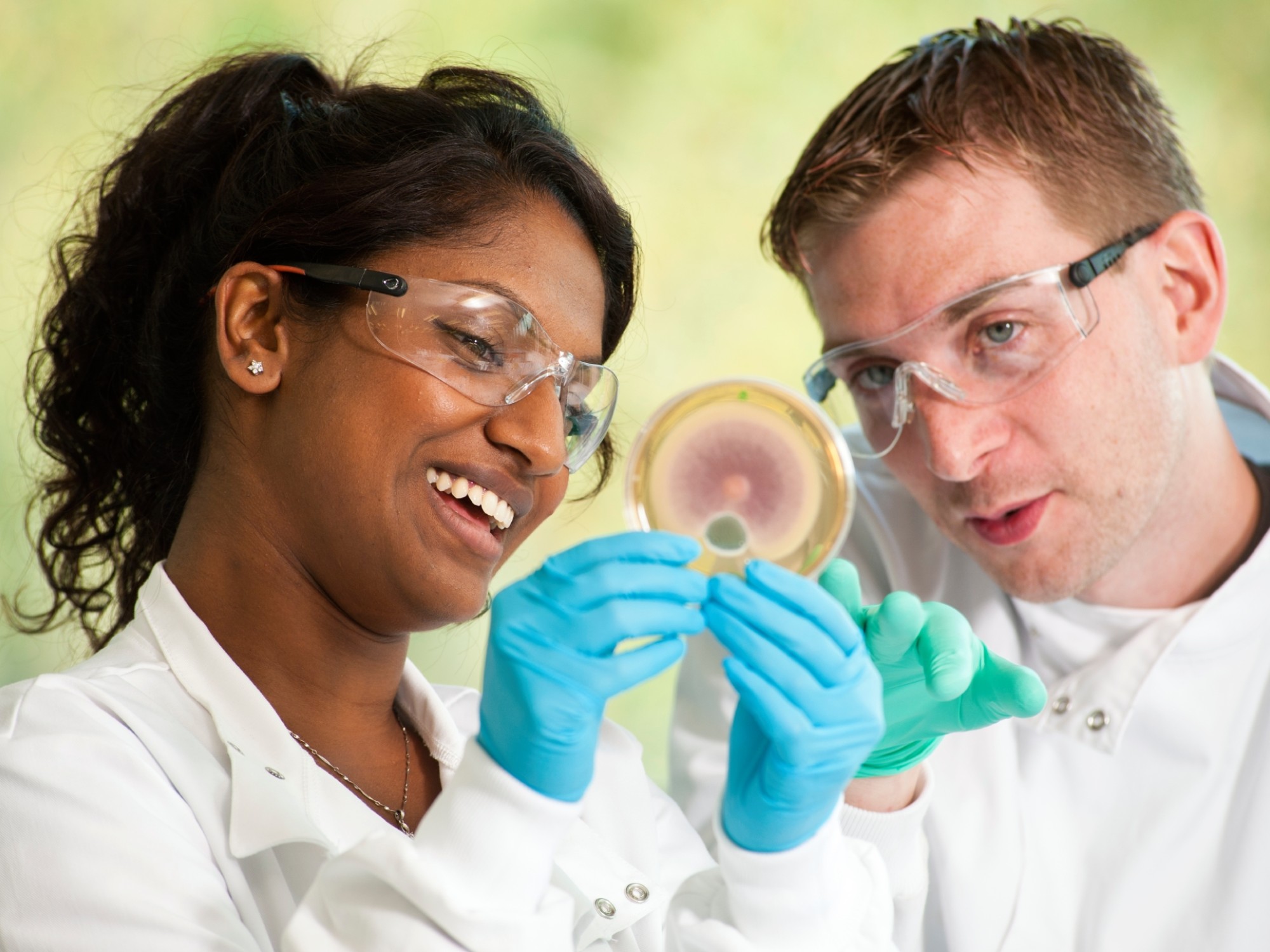 Veterinary Biosciences BSc (Hons) degree course 2025 entry | University ...