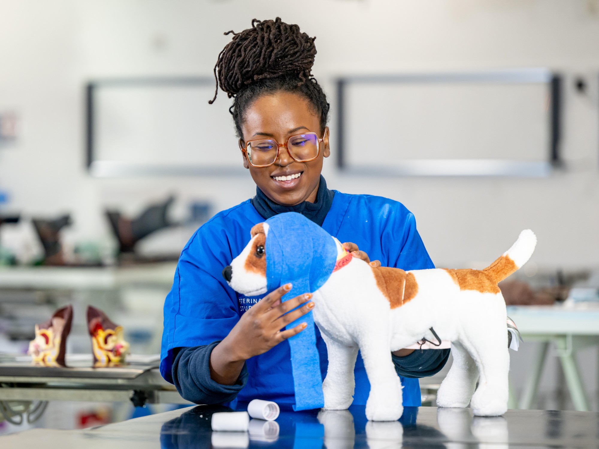 Veterinary General Practice PGCert | University of Surrey