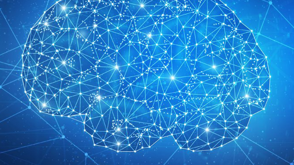 24 Mar 2025 - When Physics Meets AI: Modelling High-Density Crowds In ...