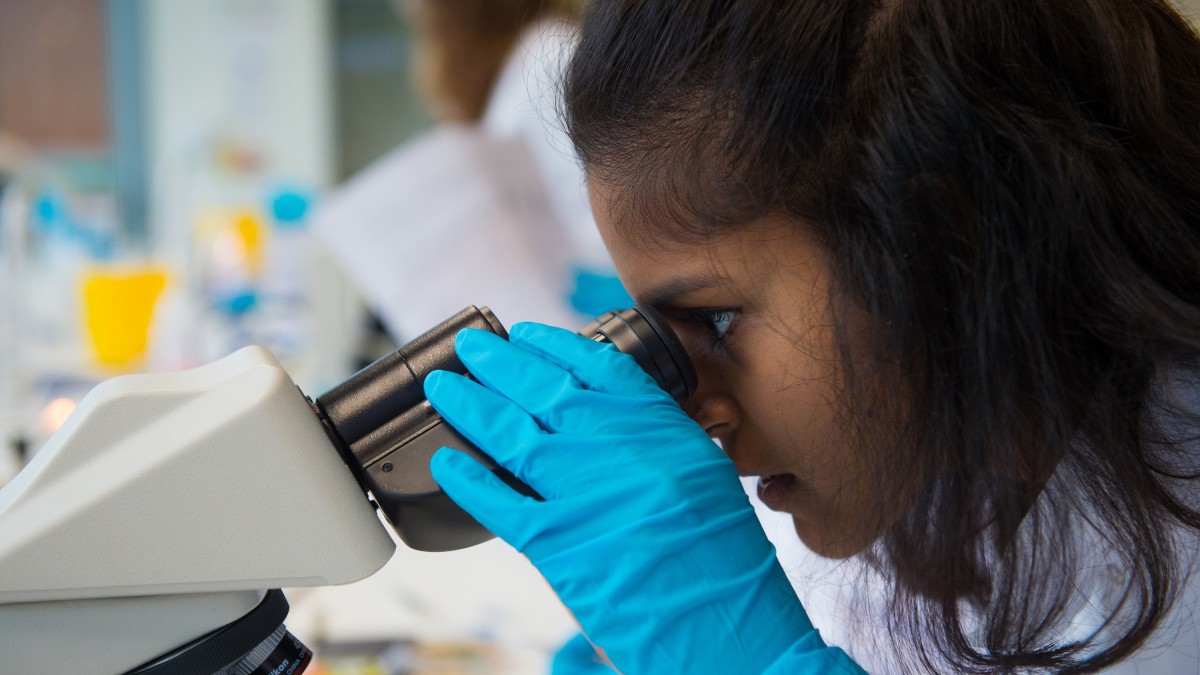 What you need to know about studying veterinary biosciences at Surrey ...